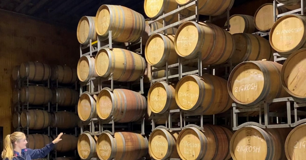 Orange NSW: Tur bag kulisserne på Ross Hill Winery | GetYourGuide