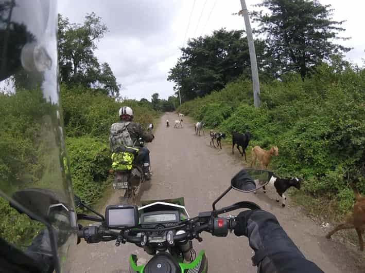 12 Days in Indonesia Bali Java Adventure on Motorcycle | GetYourGuide