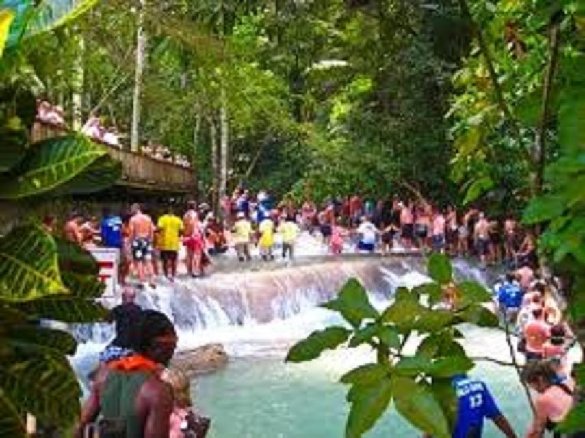 Dunn's River Falls Day Tour | GetYourGuide