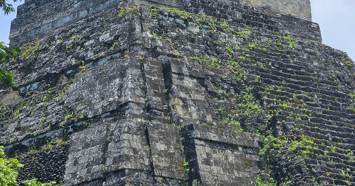 Din Flores: Orașul mayaș Tikal | GetYourGuide