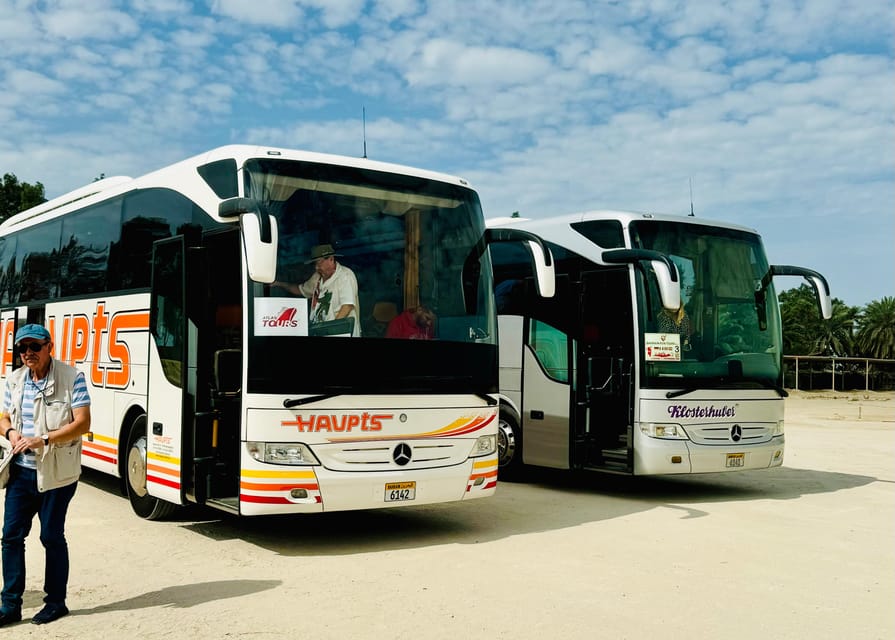 Bahrain Full Day Shared Tour 7H | GetYourGuide