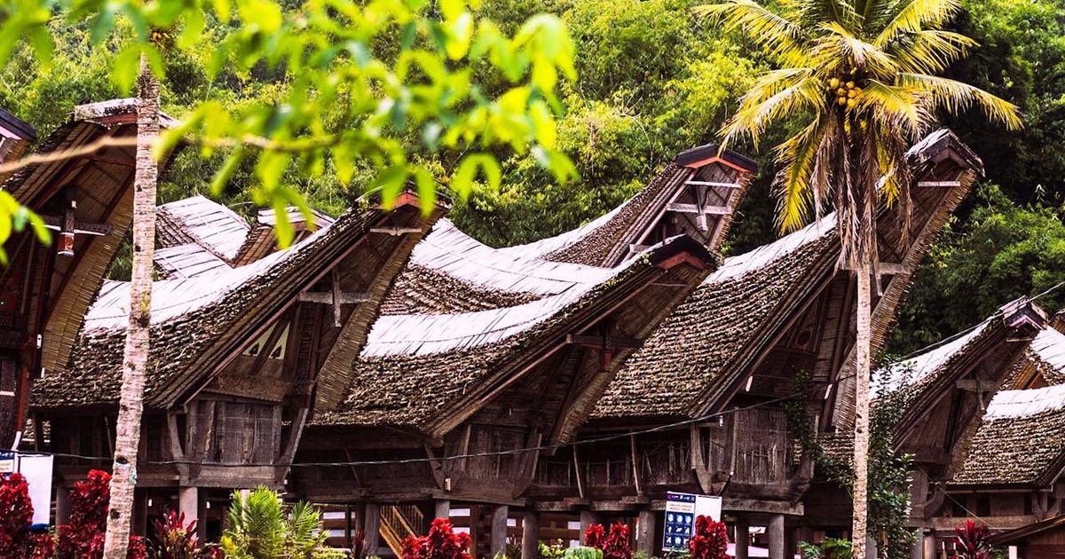 Tana Toraja: Explorando el Encantador Patrimonio de Toraja | GetYourGuide