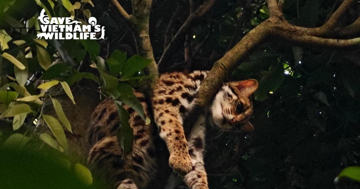 From Hanoi Explore Fresh Nature, See Wild Animal & Fireflies | GetYourGuide