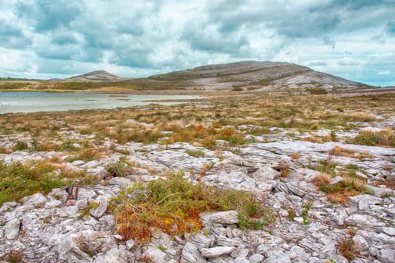 Από το Δουβλίνο: Burren & Galway City Day Tour από το Δουβλίνο: Cliffs ...
