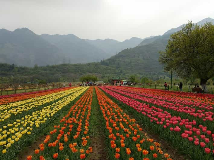 Srinagar: Private Old City and Mughal Gardens Guided Tour | GetYourGuide