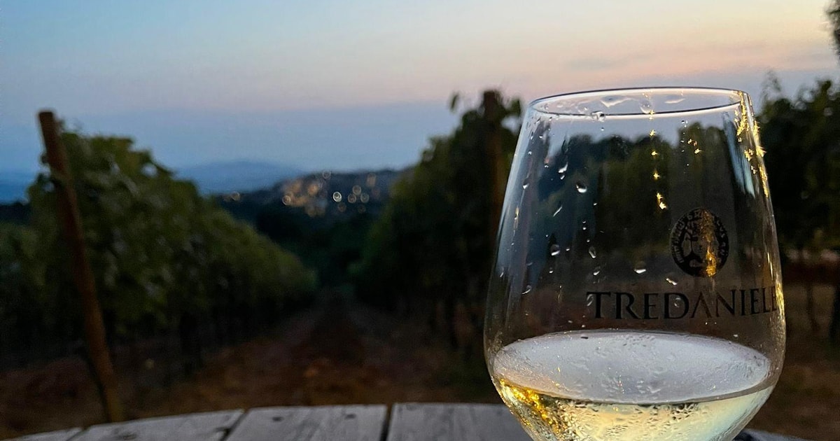 Cilento Wine: Tour & Tasting Experience | GetYourGuide