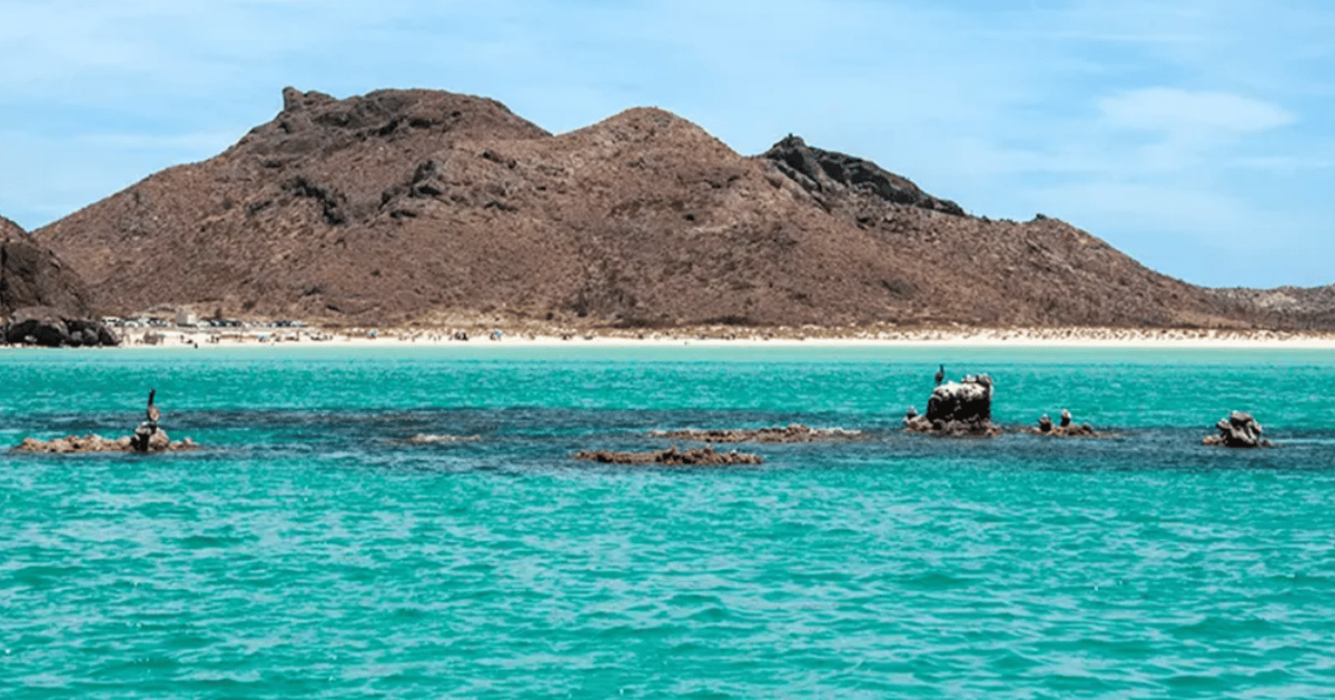 La Paz: Paseo en barco a la isla espíritu santo y balandra | GetYourGuide