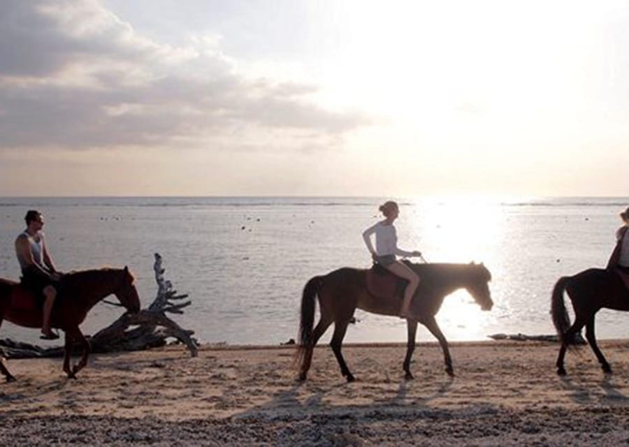 From Bali : Gili Island 2-Day Tour With Hotel And Transport | GetYourGuide