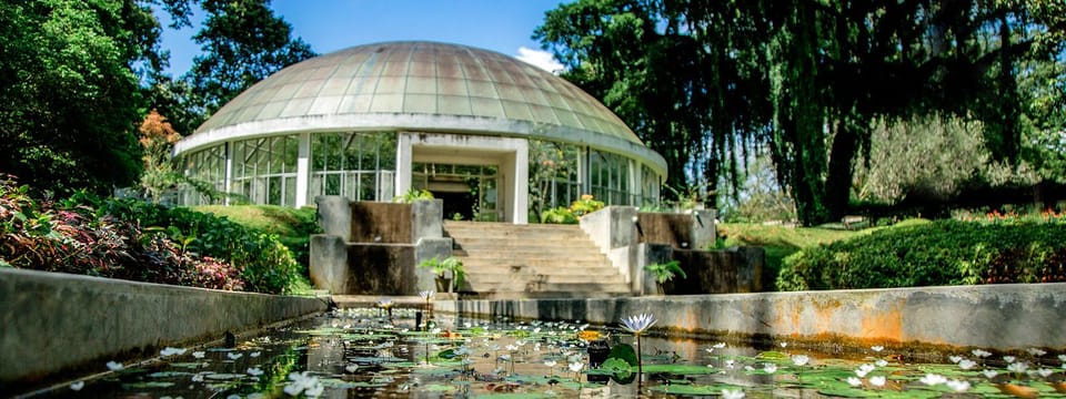 From Colombo : Day Trip to Kandy/ Pinnwala/ Royal Gardens | GetYourGuide