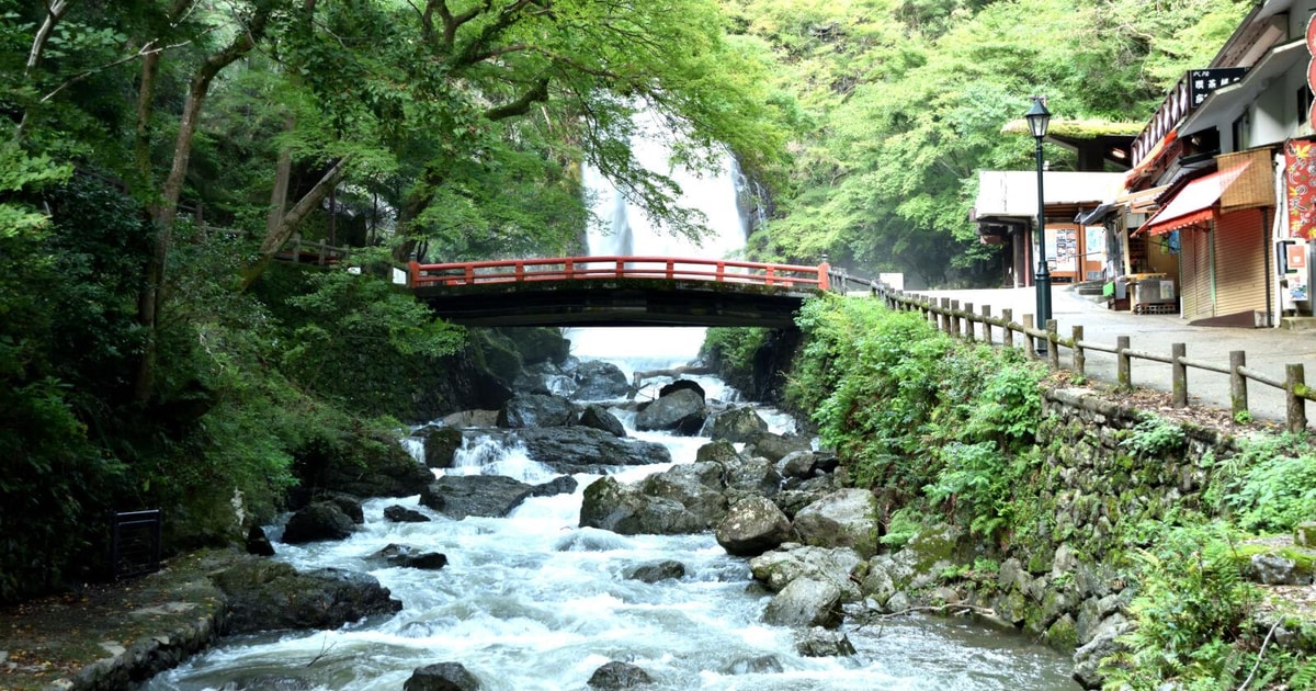 Osaka: Minoh, Katsuoji Temple, & Minoh Falls Full-day Tour | GetYourGuide