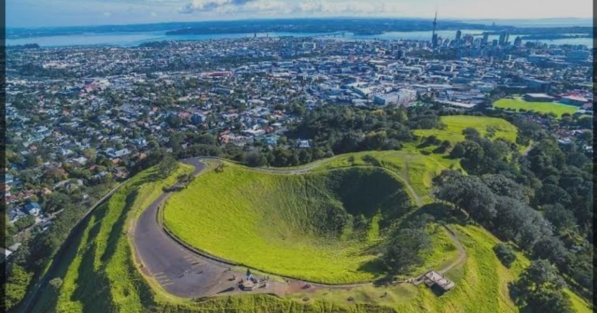 Auckland City & Native Kiwi Encounter Half Day Tour | GetYourGuide