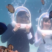 Boracay: Helmet Diving Experience with Photos and Videos | GetYourGuide