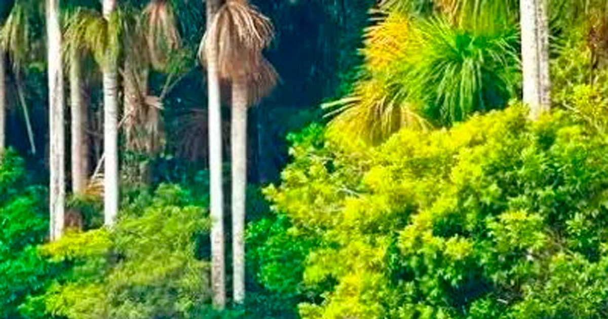 Sandoval lake full day | GetYourGuide