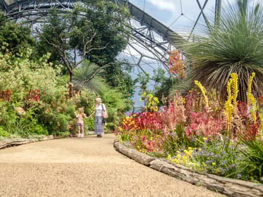 Cornwall: Eden Project Admission Ticket | GetYourGuide