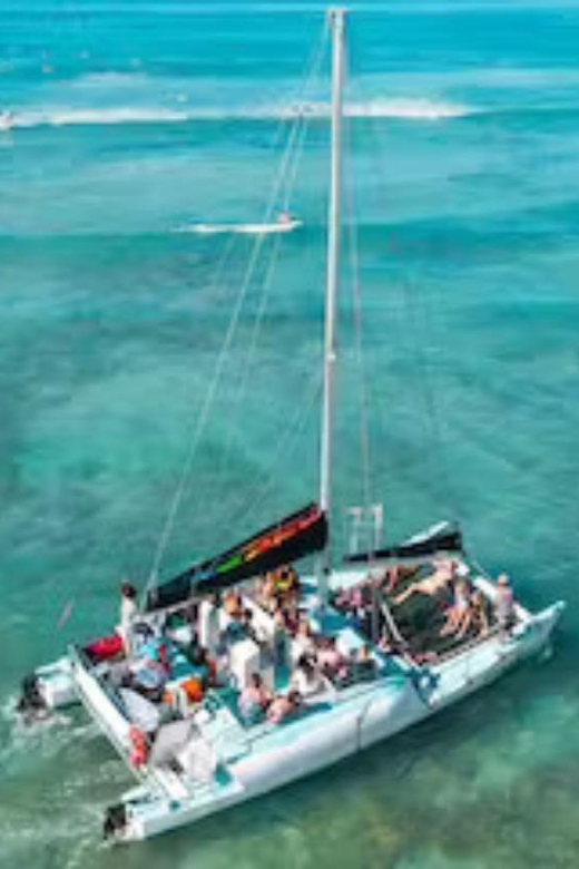 Honolulu: Marine Life Boat Tour on Waikiki Catamaran Charter | GetYourGuide