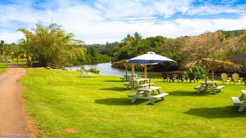 North Shore's best day! River, Turtles, Farm with Lunch | GetYourGuide