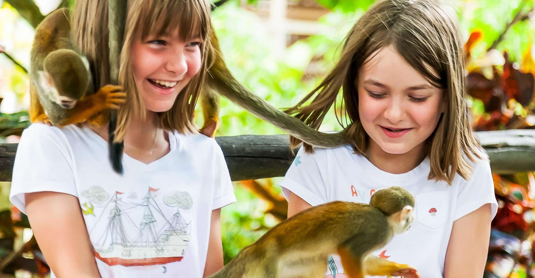 Punta Cana, Monkey Land Half-Day Safari and Plantation | Guided Tour in ...