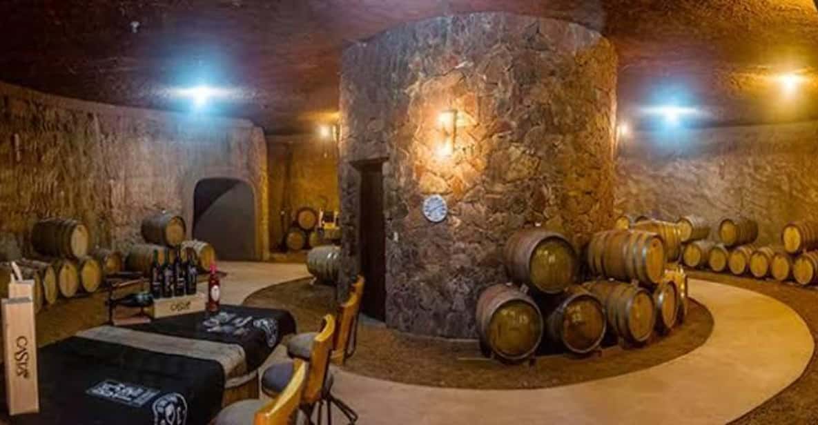 From Tijuana: Valle de Guadalupe Shared Winery Tour | GetYourGuide
