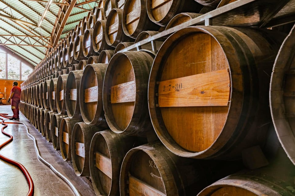 Desde Lisboa - Visita a una Bodega Local Cerca de Setúbal | GetYourGuide