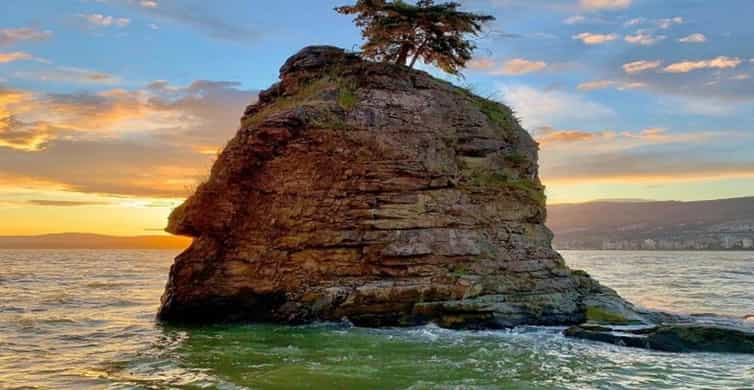 Excursión 2 en 1 por la ciudad de Vancouver | GetYourGuide