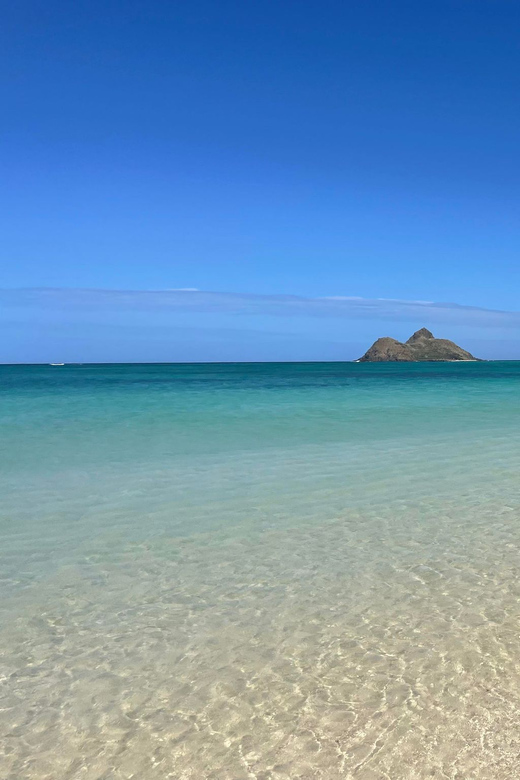 Oahu: Hidden Hawaii Waterfall Hike and Beach Tour | GetYourGuide