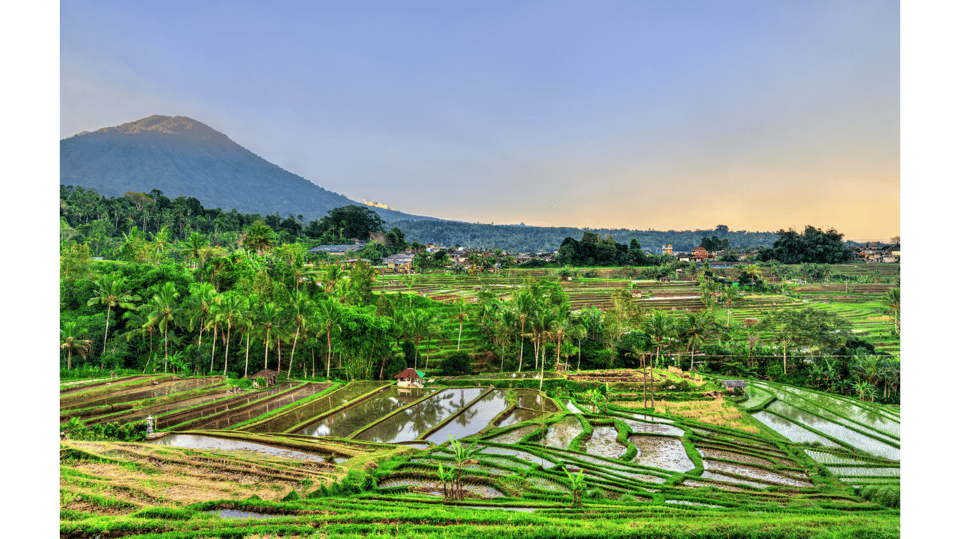 Bali: Water Temple, Waterfalls and Unesco Rice Terraces Tour | GetYourGuide