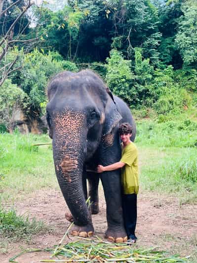 Chiangmai : Elefantes, caca de elefante DIY, cascadas pegajosas ...