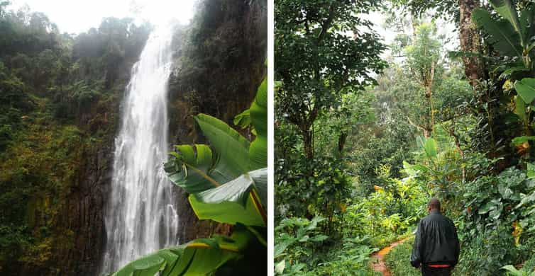 Materuni Waterfall Day Trip | GetYourGuide