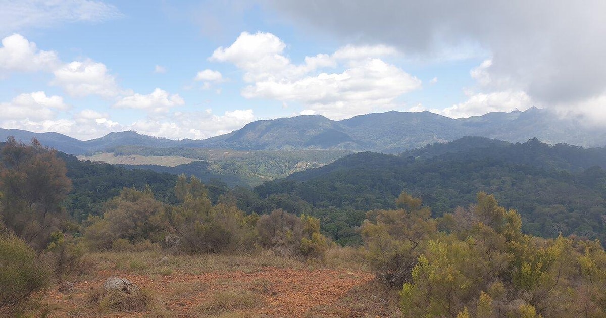 Lushoto: Magamba Rainforest & Irente Viewpoint Hike | GetYourGuide