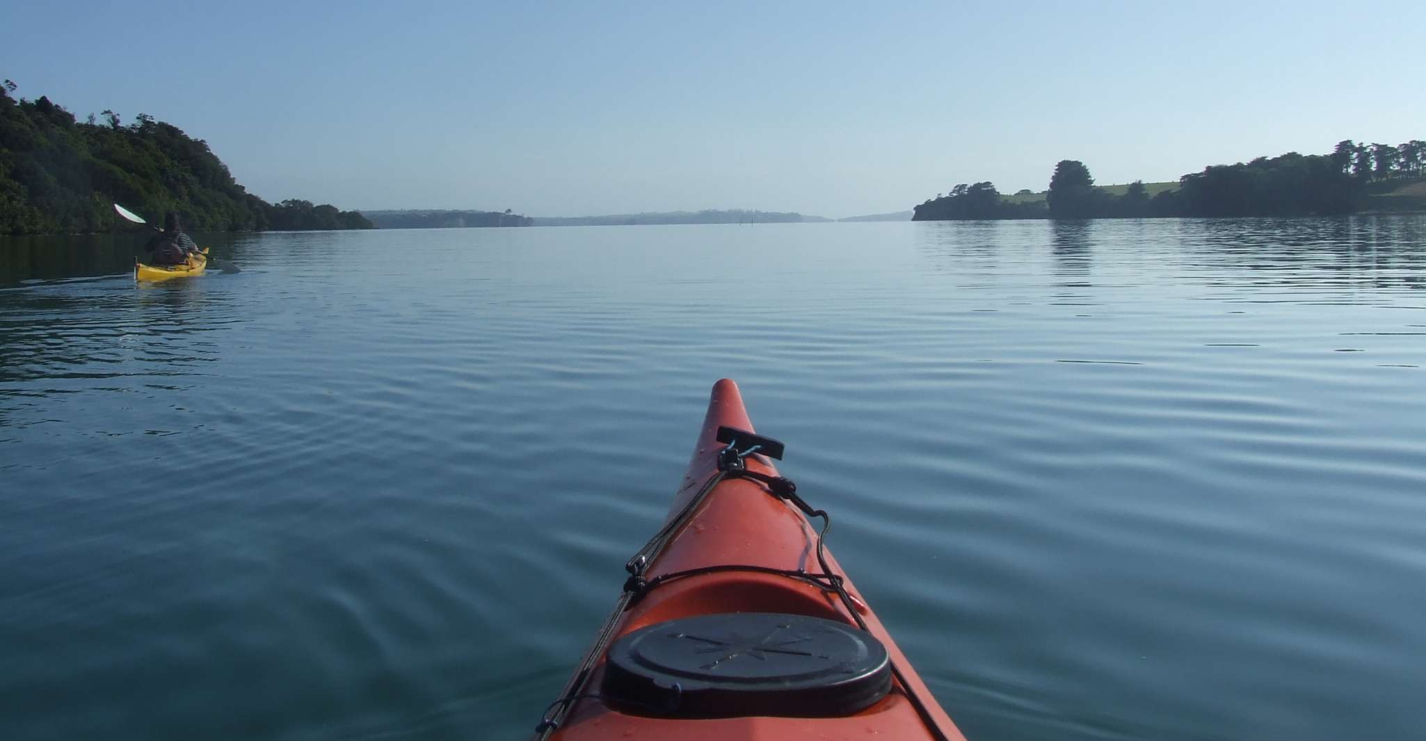 Auckland, Bioluminescence Kayak Tour by Night with Tuition | Water ...