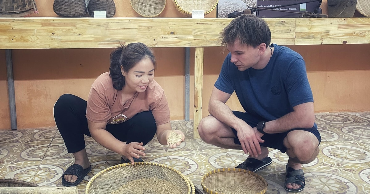 Ninh Binh: Tam Coc Museum and Rice Planting Experience | GetYourGuide