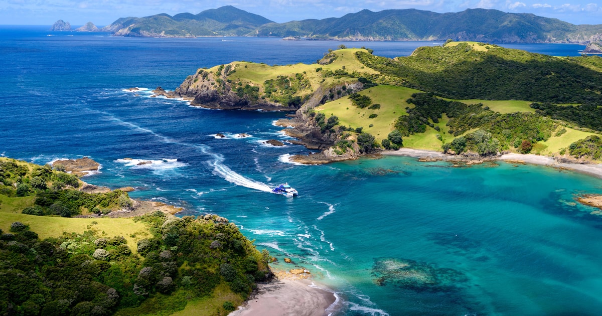 Auckland: Excursión de un día a la Bahía de las Islas con Crucero con ...
