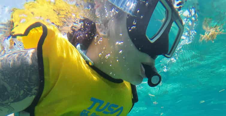 Cancun: Snorkeling with Turtles and Shipwreck Tour | GetYourGuide