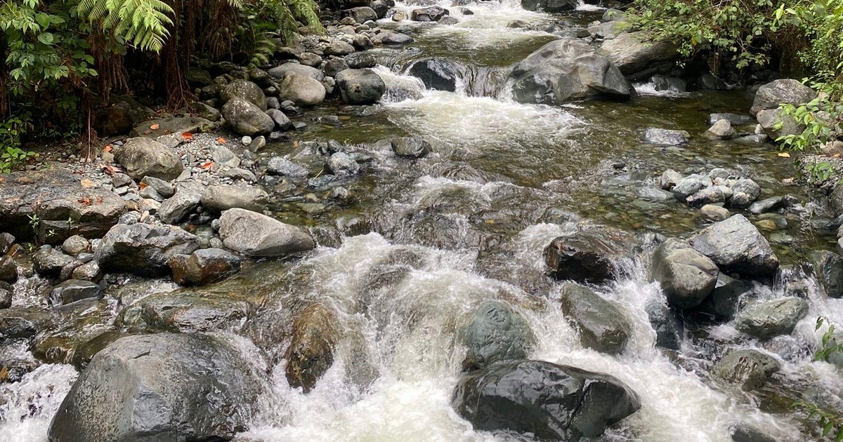 Farallones de Cali: Půldenní túra po Pance a řece | GetYourGuide