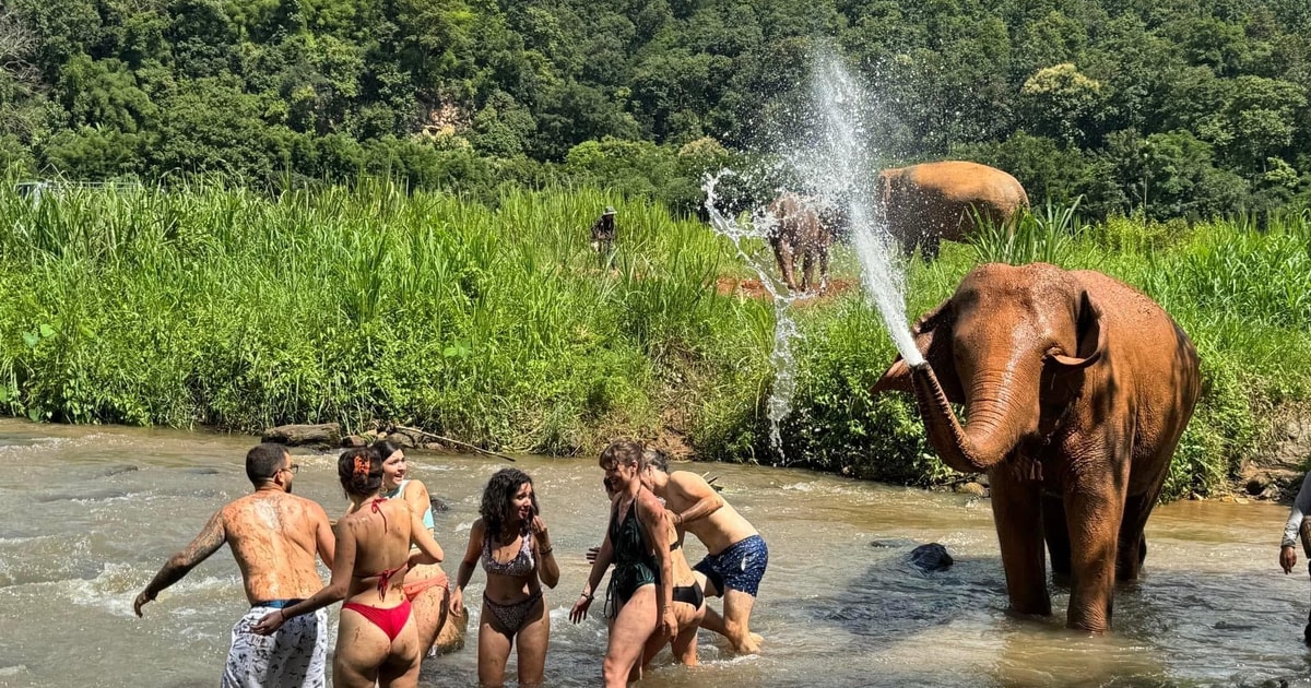 Chiang Mai: Elephant Sanctuary & Pha Chor Canyon | GetYourGuide