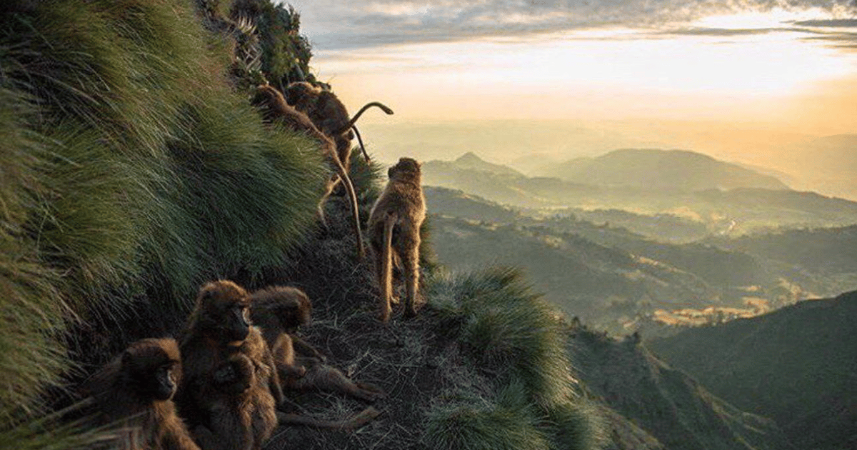 Excursion de 5 jours au départ d'Addis-Abeba : Bahir Dar, Gondar et les ...