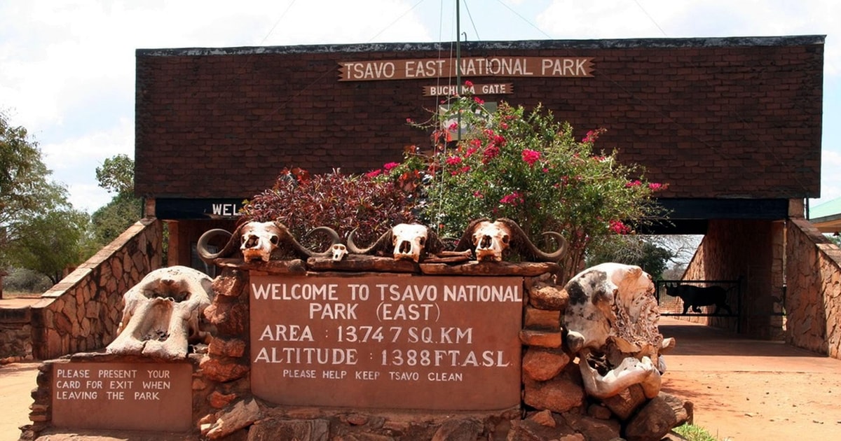 DAY TOUR TO TSAVO EAST FROM MALINDI | GetYourGuide