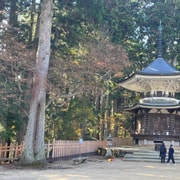 Mount Koya: Private Guided Tour Day from Osaka | GetYourGuide