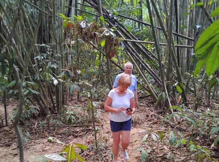 Khlong Sok: Khao Sok Waterfalls and Wildlife Half-Day Trek | GetYourGuide