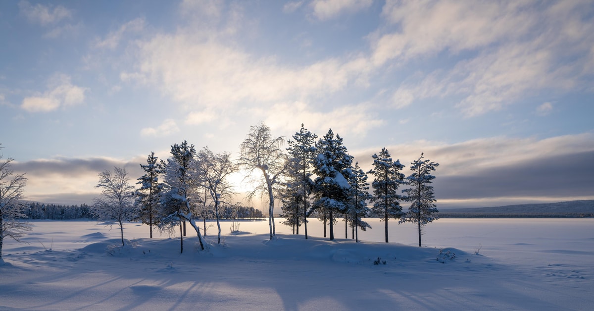 Jokkmokk: Guided Ski Tour in the Forest with Meal | GetYourGuide
