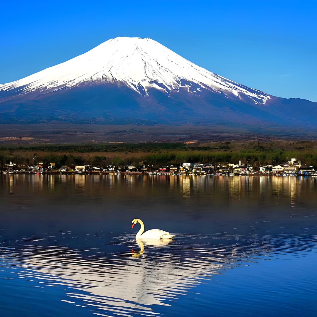 Tokyo: Mt. Fuji & Lake Kawaguchi Small Group Tour - 6 Spots | GetYourGuide