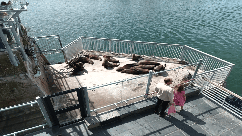 Cape Town: Robben Island Museum and Ferry Ticket | GetYourGuide