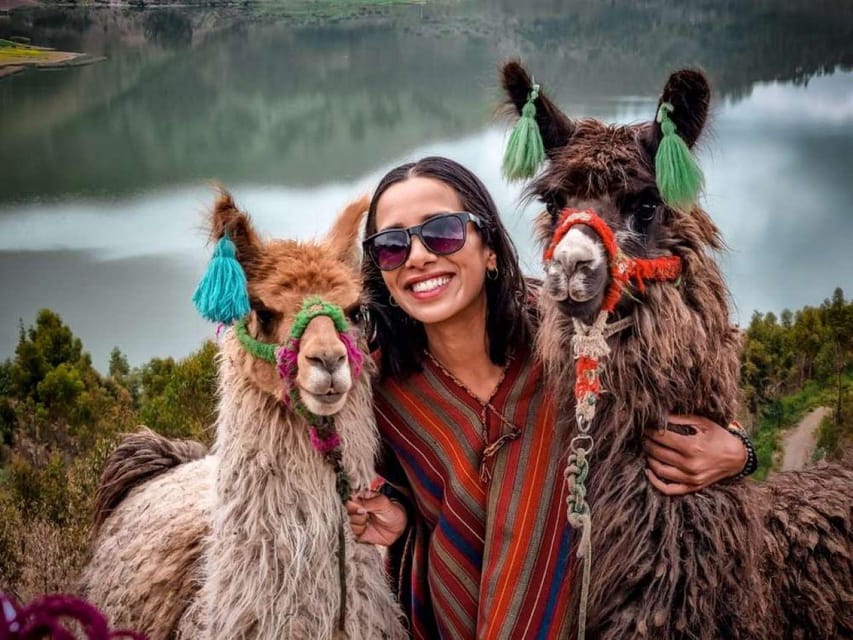 Cusco: Alpaca Therapy - Connect with your inner self | GetYourGuide
