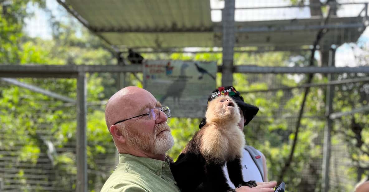 Sloth and Monkey Park Private Tour at Roatan with Pickup | GetYourGuide