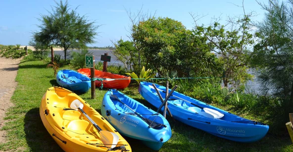 Macaneta Beach: Kayak Tour to the Incomati River Islands | GetYourGuide