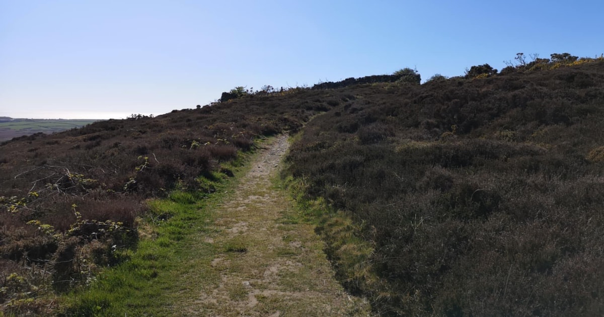 South Stack: Coastal Walking Tour with Café & History | GetYourGuide