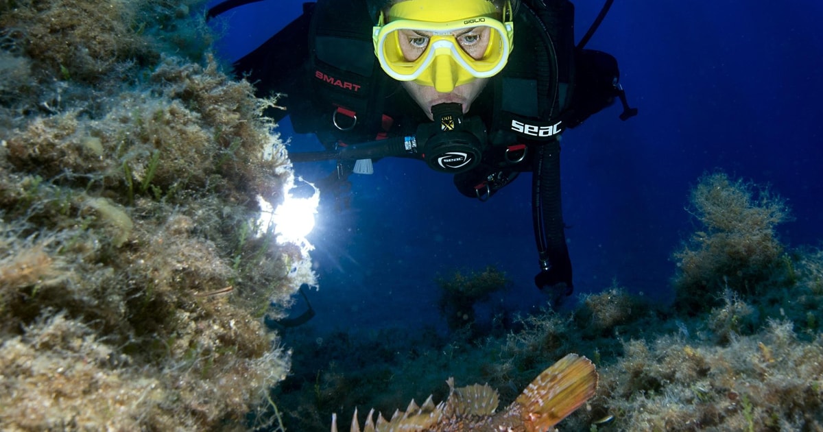 Genoa: first underwater dive | GetYourGuide