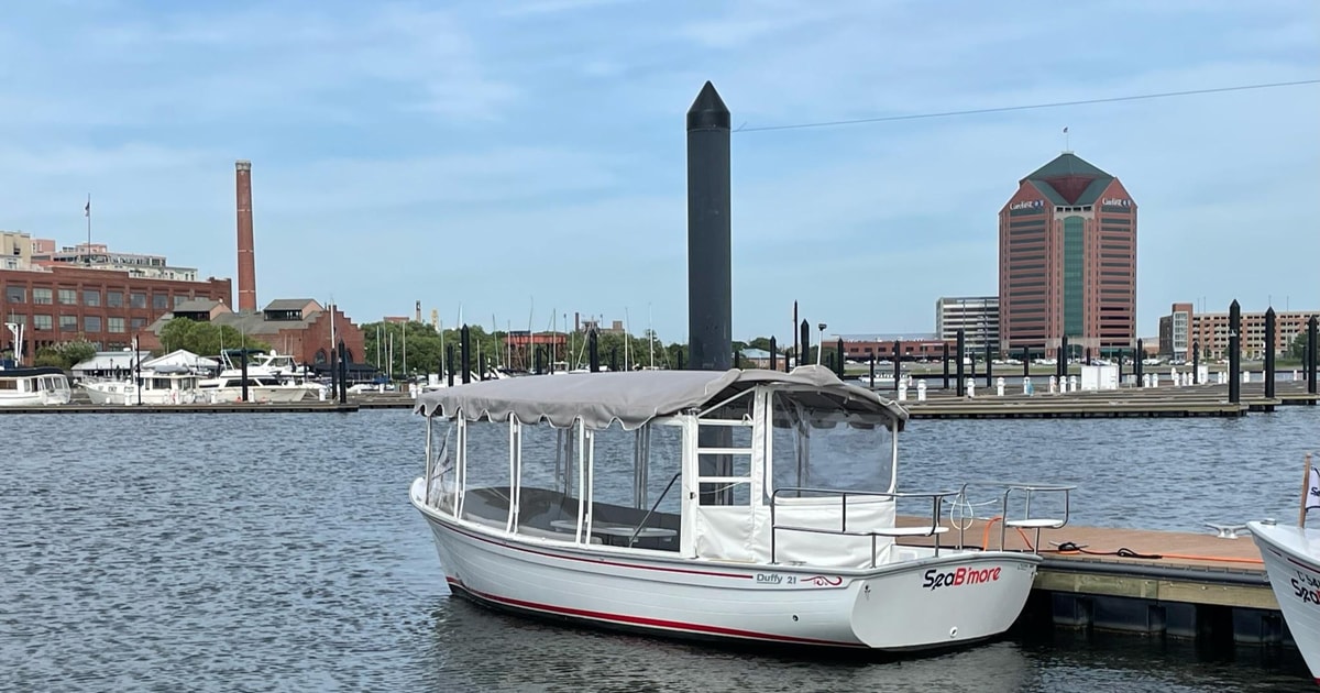 Baltimore; Duffy 21' Sun Cruiser Electric Boat Rental-10ppl | GetYourGuide