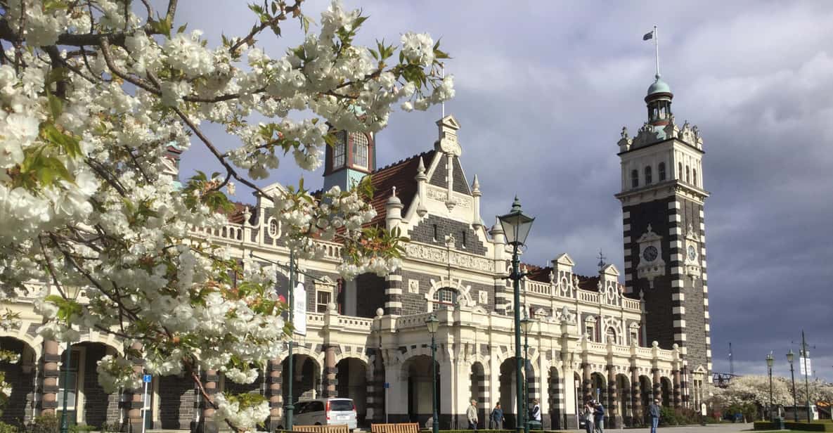 Dunedin: Small Group City Highlights Tour | GetYourGuide