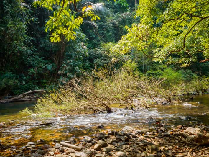 Khlong Sok: Khao Sok Waterfalls and Wildlife Half-Day Trek | GetYourGuide